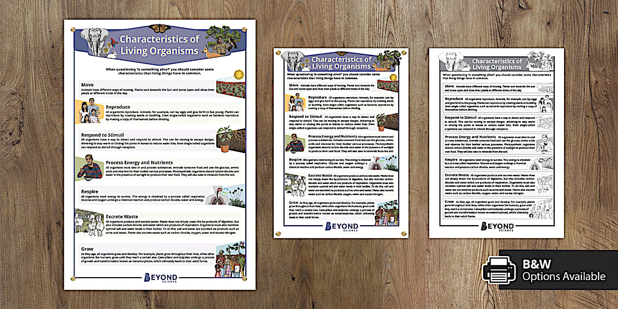 Characteristics of Living Things Poster and Student Handout