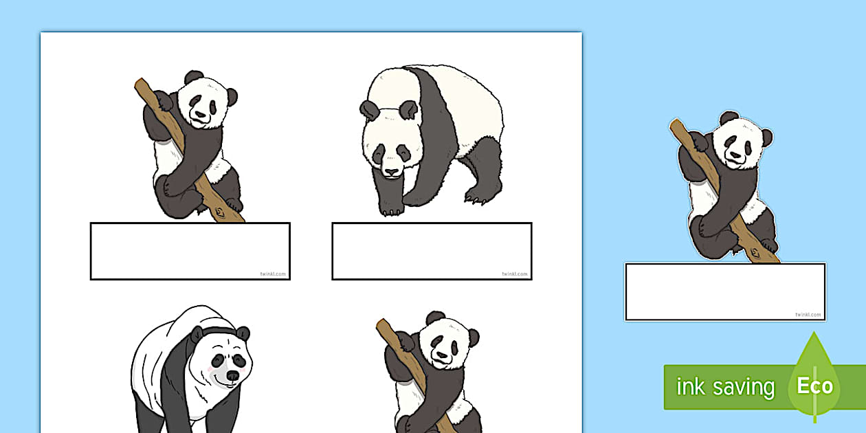 Editable Panda Self-Registration Labels (Lehrer gemacht)