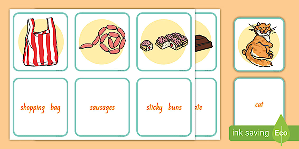 Cat Vocabulary and Picture Matching Cards