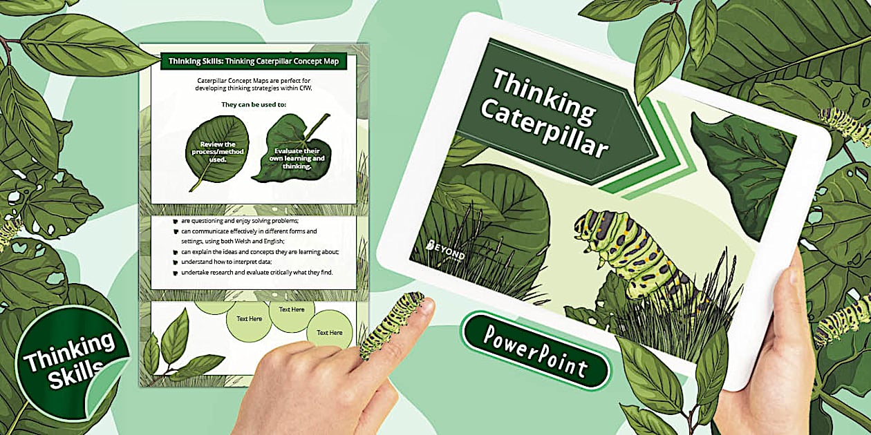 Thinking Skills Thinking Caterpillar (teacher made) - Twinkl