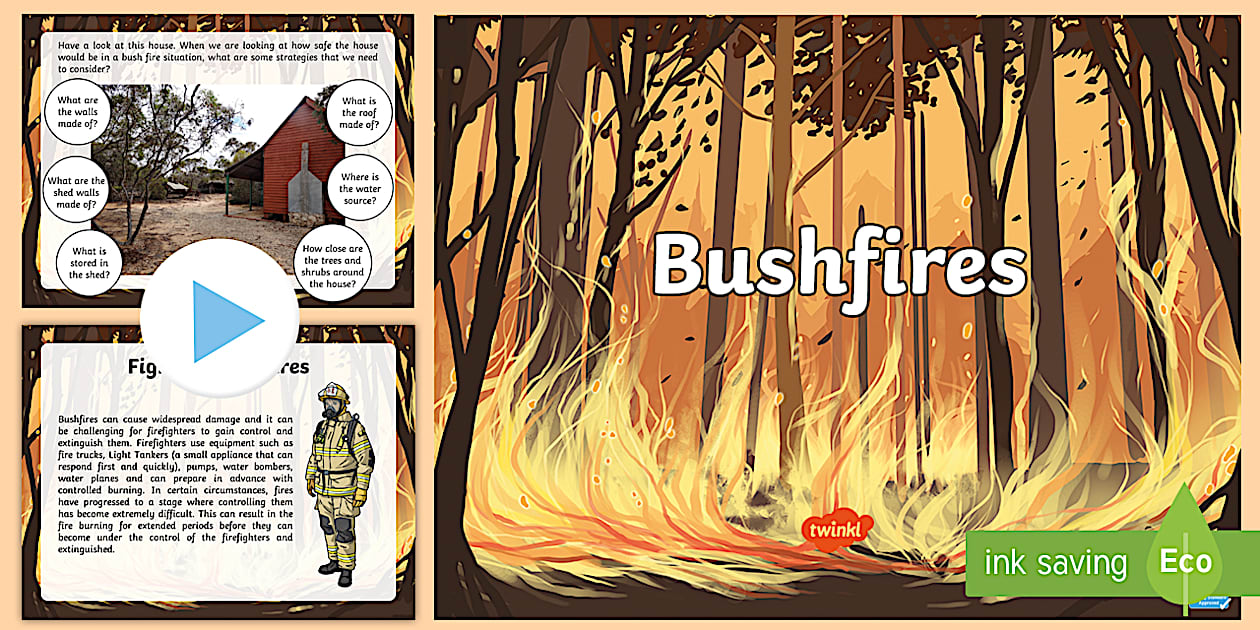 Bushfires Information PowerPoint (teacher made) - Twinkl