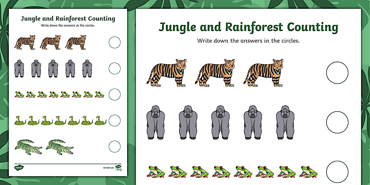 Jungle and Rainforest Counting Worksheet (teacher made)