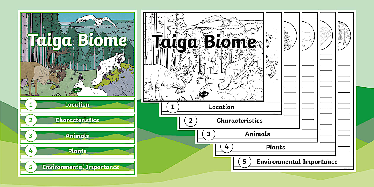 Taiga Biome Flipbook for 3rd-5th Grade - Twinkl