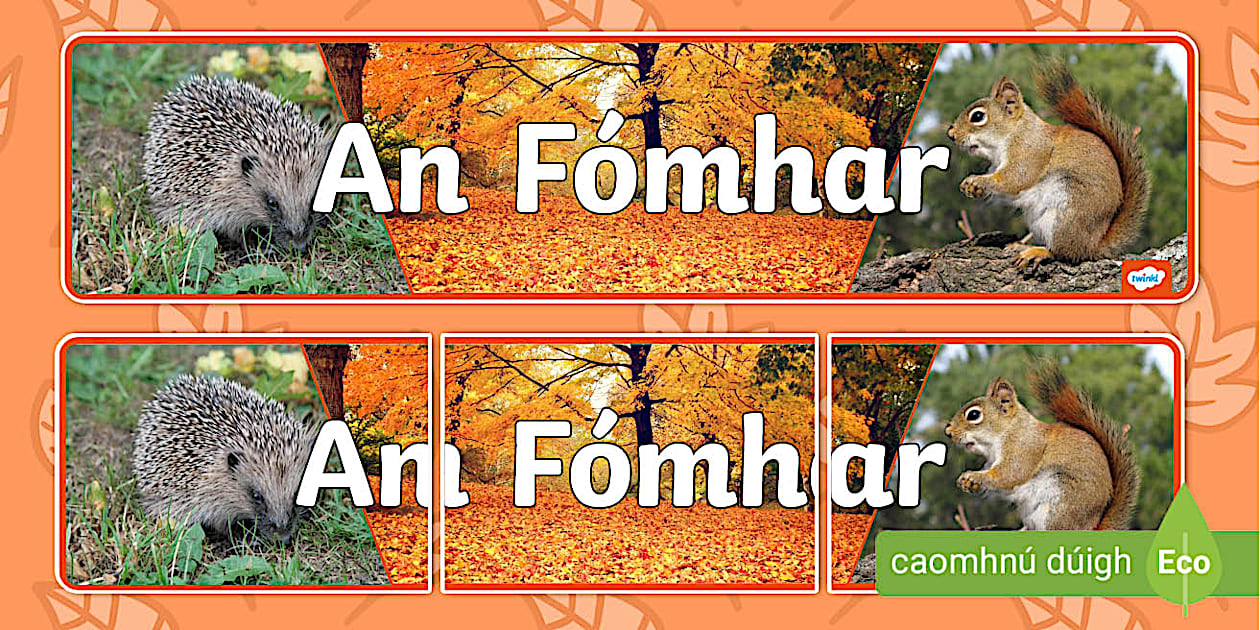 Autumn Photo Display Banner Gaeilge