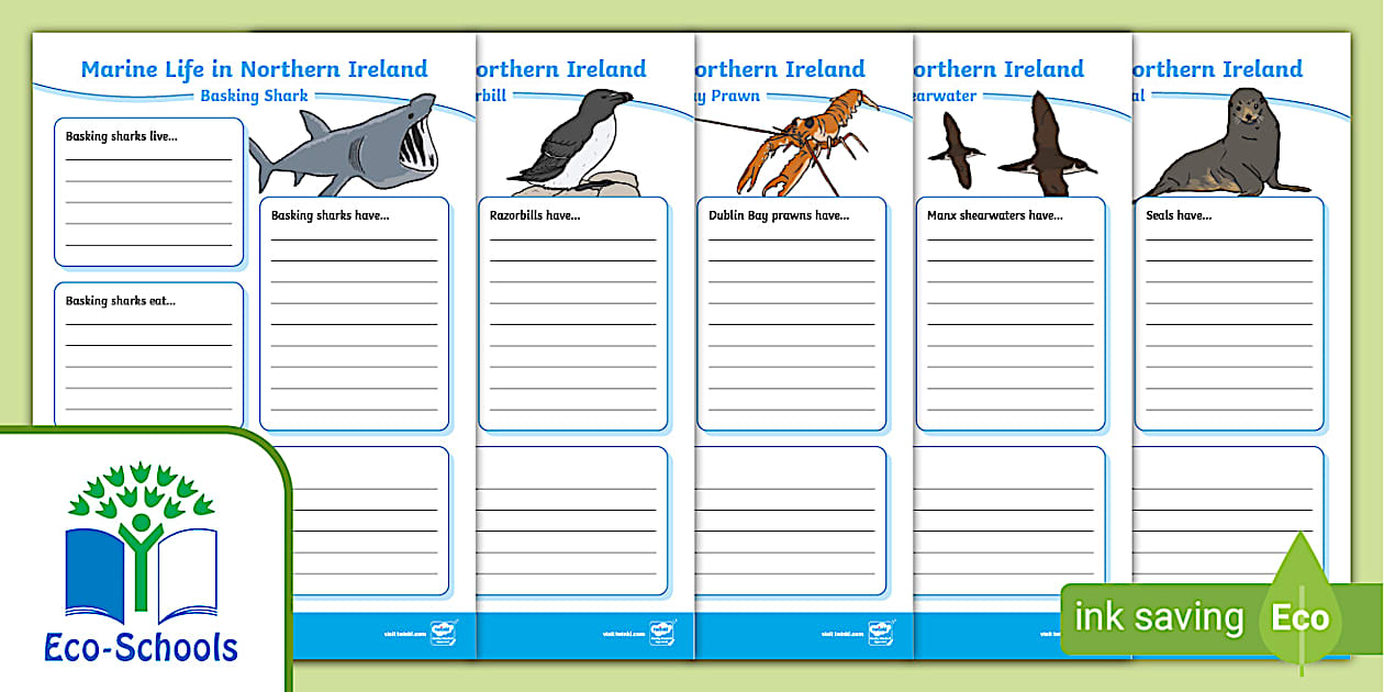 Eco-Schools NI: Marine Life in NI Fact Files