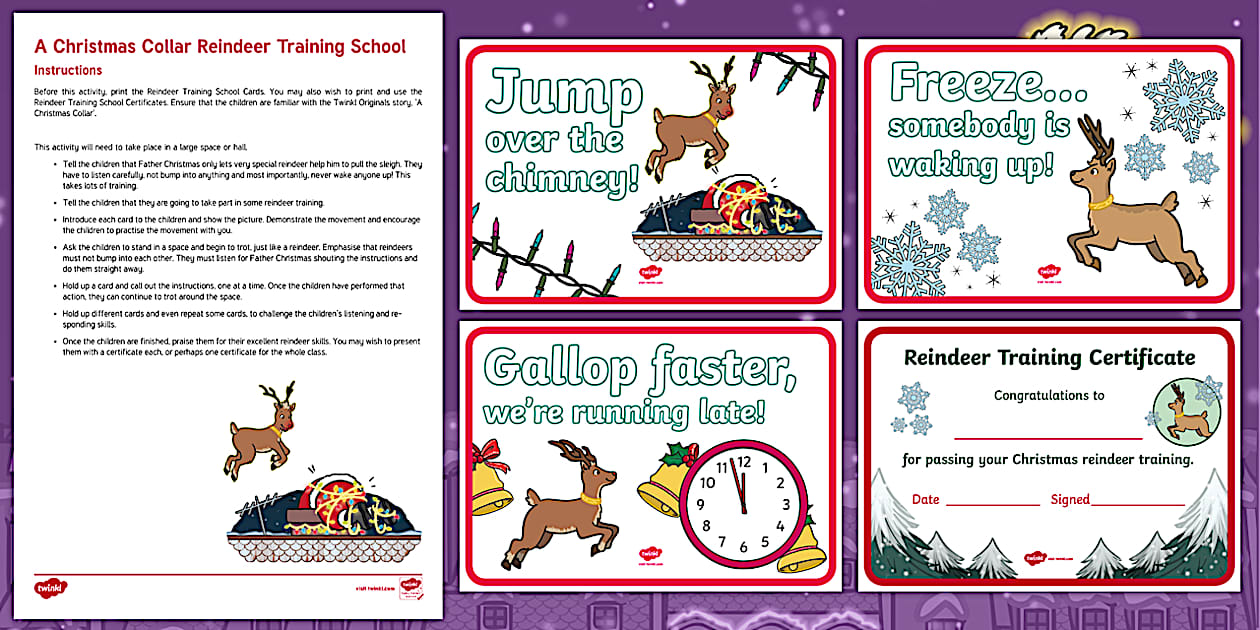 Reindeer Training School Resource Pack (Teacher-Made)