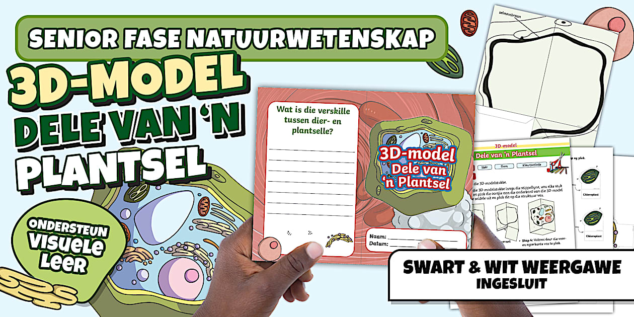 Graad 9 NW - Kwartaal 1 - Dele van 'n Plantsel - 3D-model