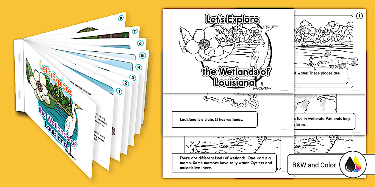 Louisiana Wetlands Printable Book for K-2nd Grade - Twinkl