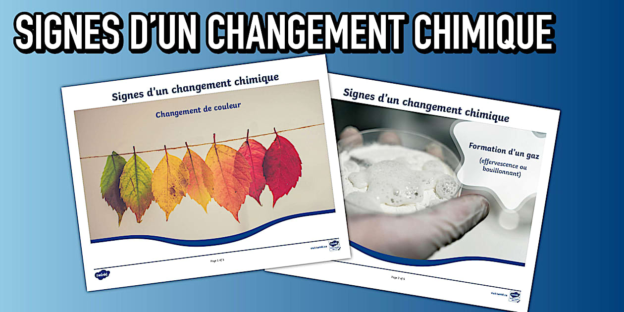 Signs of a Chemical Change Poster French