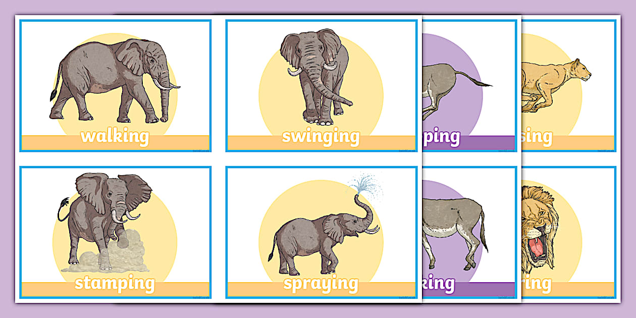 Carnival of the Animals Movement Cards - KS2 - Dance - PE