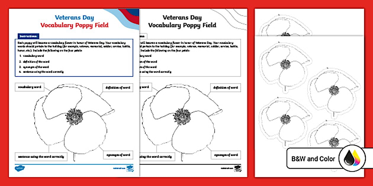Veterans Day Poppy Activity for 5th Grade | Twinkl USA