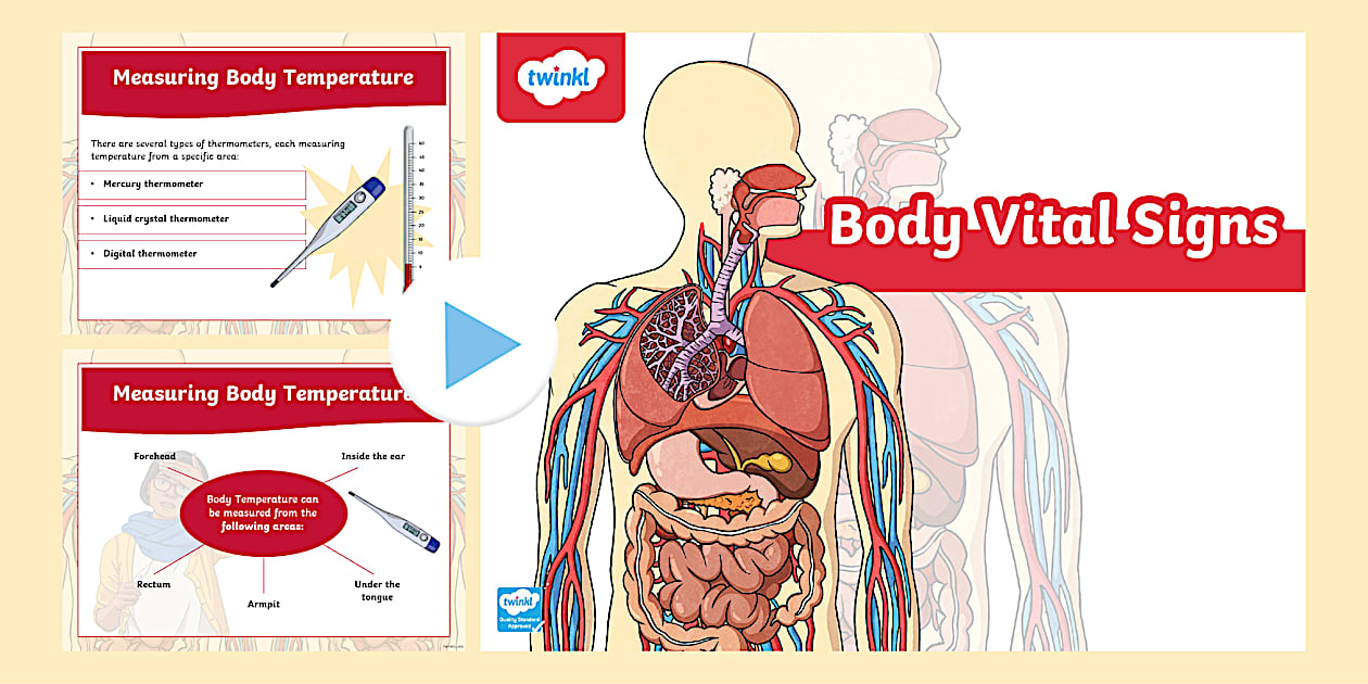 Body Vital Signs PowerPoint (teacher made) - Twinkl