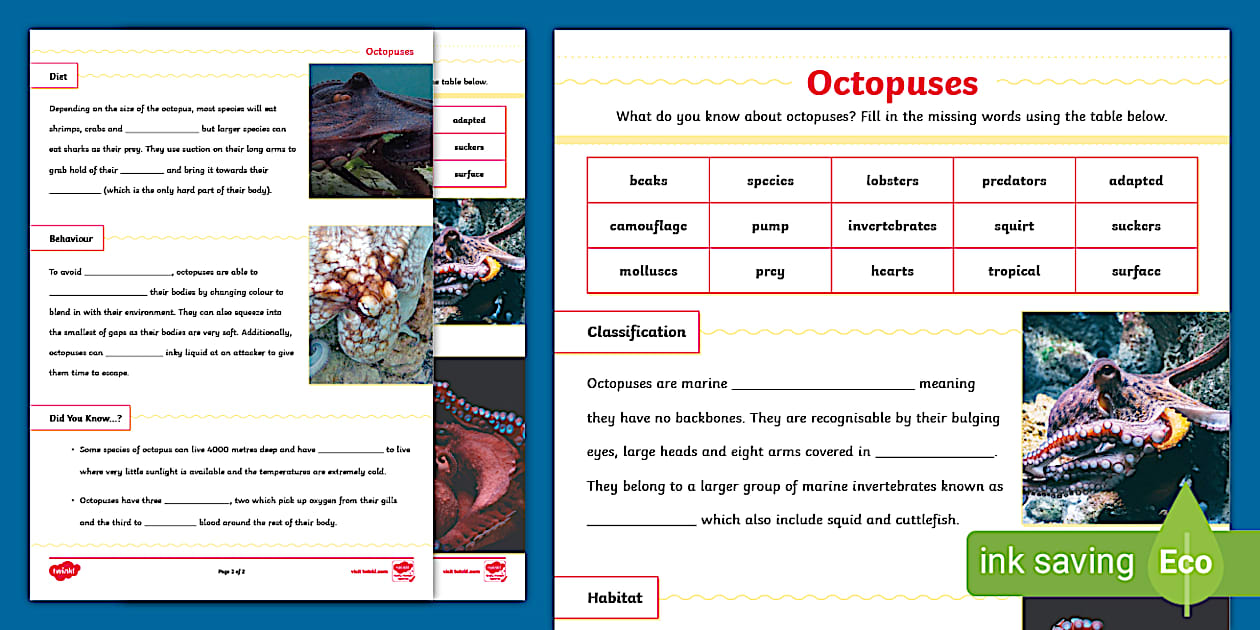 Octopuses Cloze Worksheet (Hecho por educadores) - Twinkl
