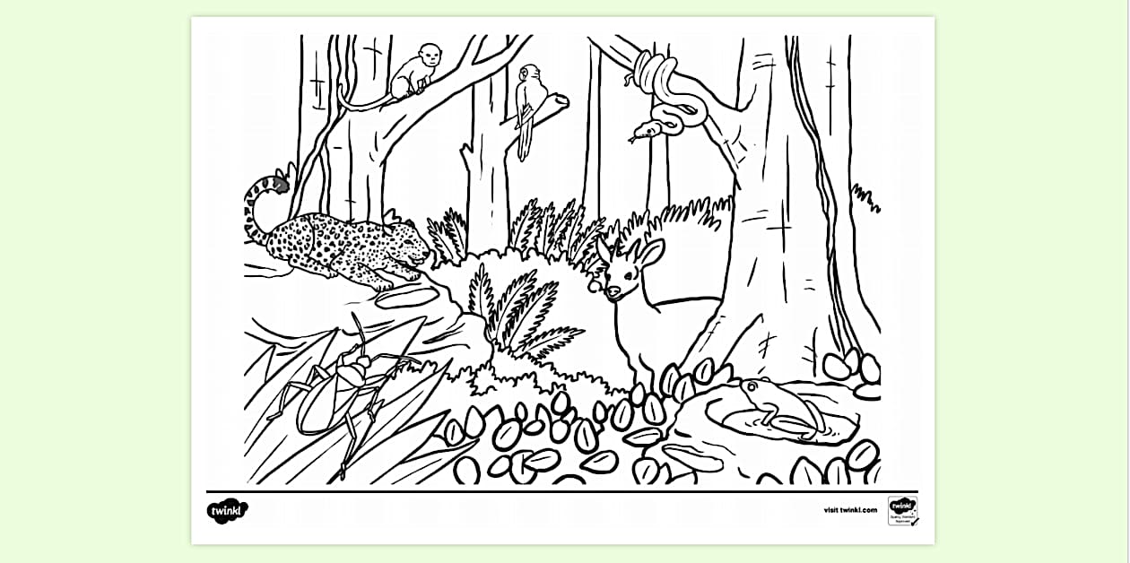 Habitat Colouring Page | Colouring Sheets (teacher made)