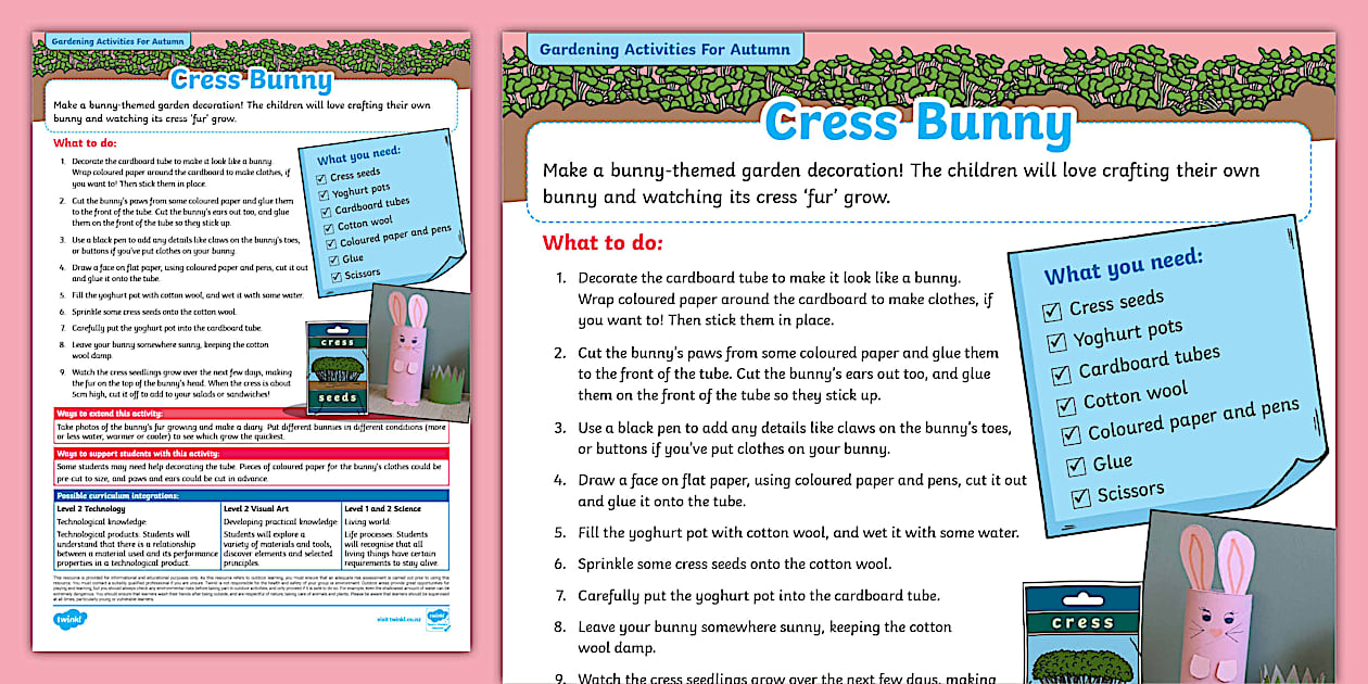 Cress Bunny Craft Instructions (Teacher-Made) - Twinkl