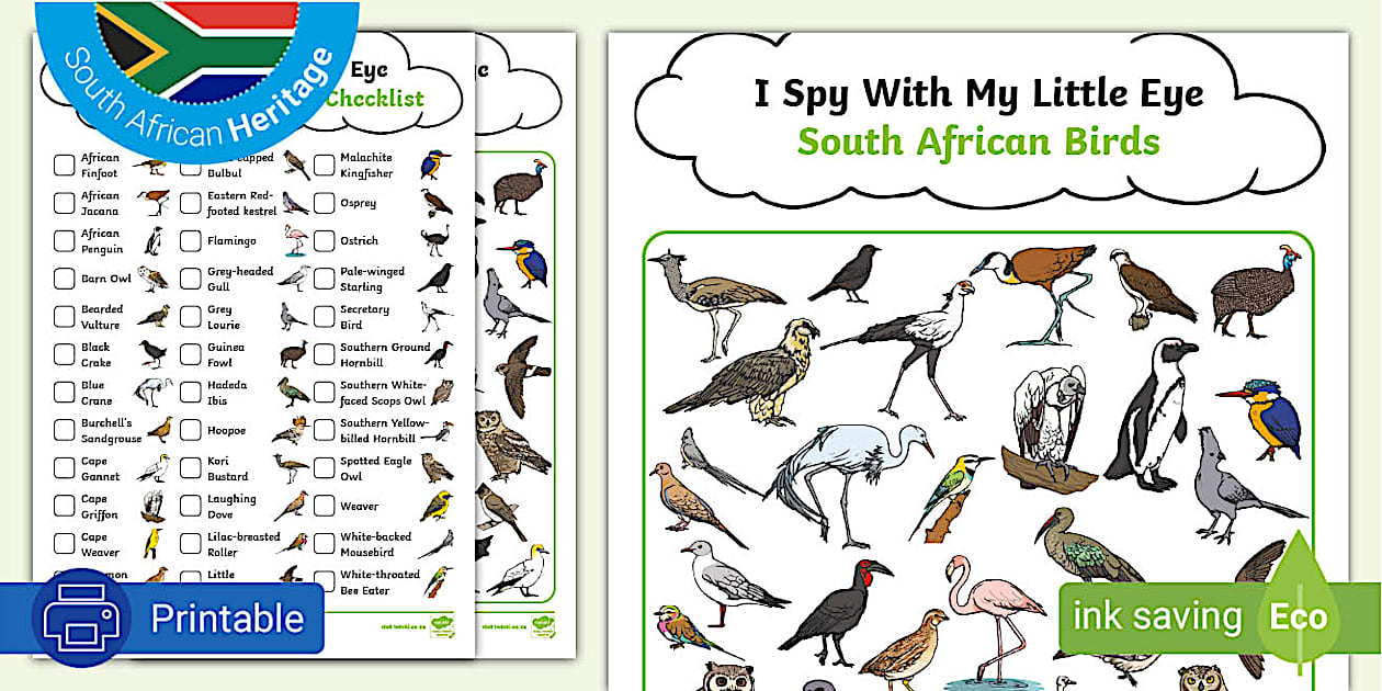 South African Birds - I Spy Game - Printable (teacher made)