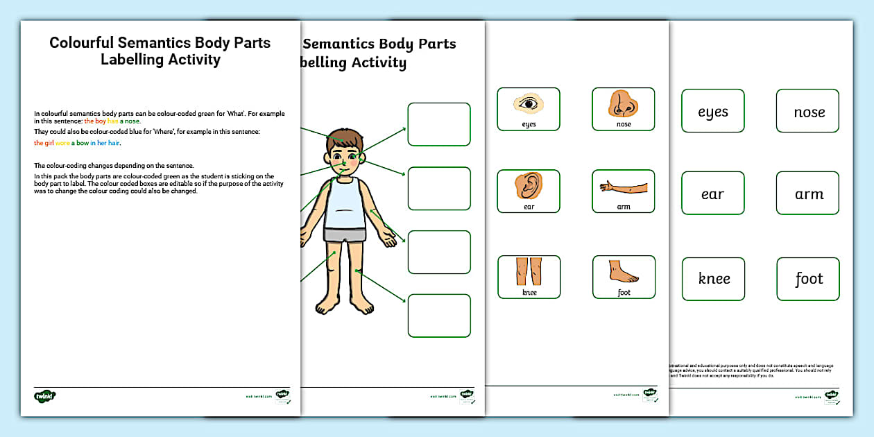 Colourful Semantics Body Parts Labelling Activity - Twinkl