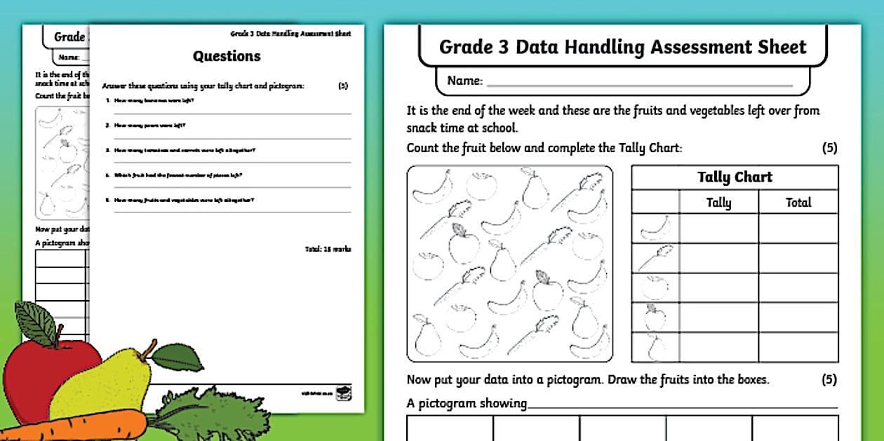 Grade 3: Data Handling Assessment Sheet (teacher made)