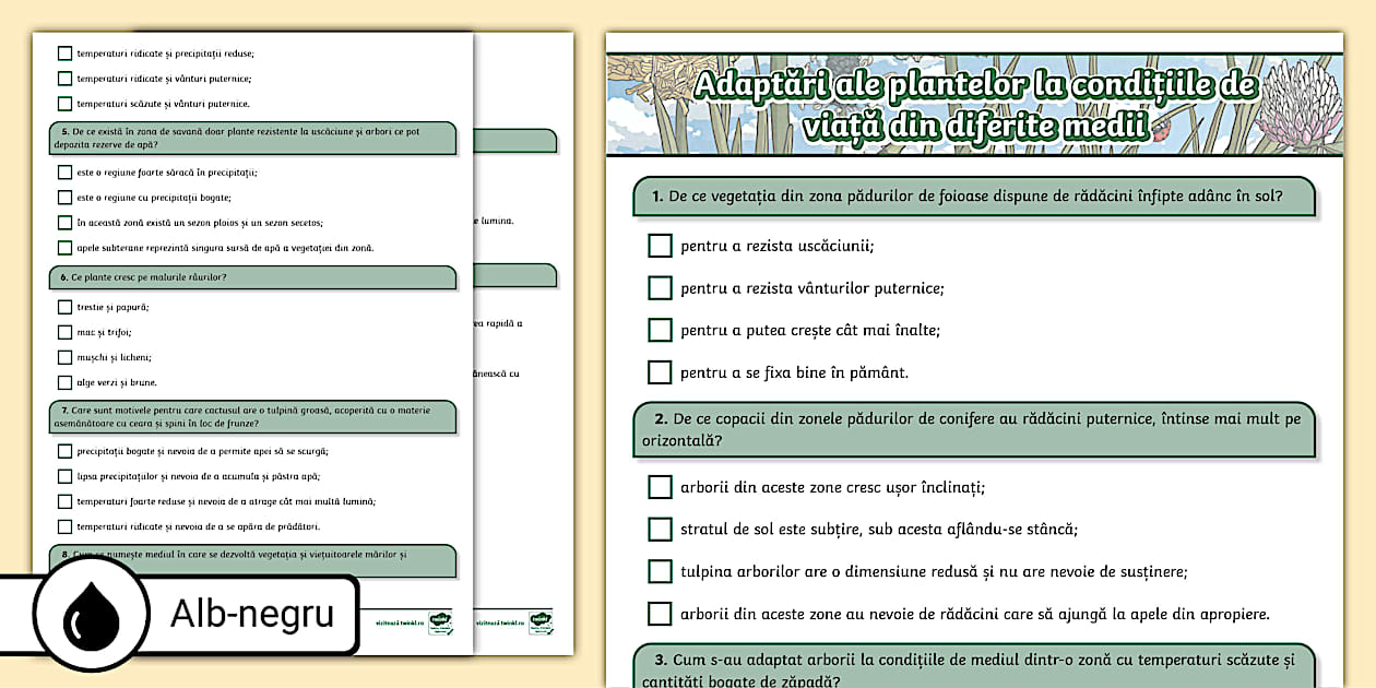 Adaptări ale plantelor – Evaluare formativă/ Temă PDF