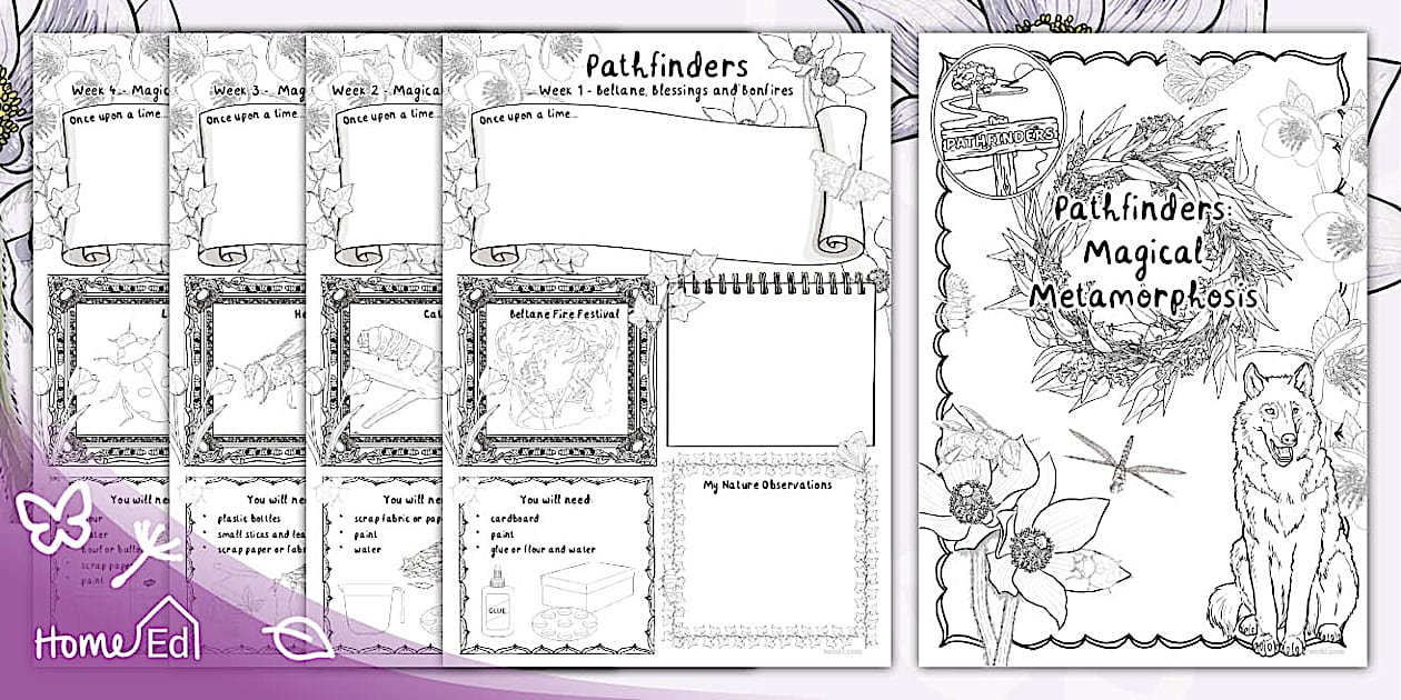 Pathfinders Late Spring Live Lesson Resource Pack - Twinkl