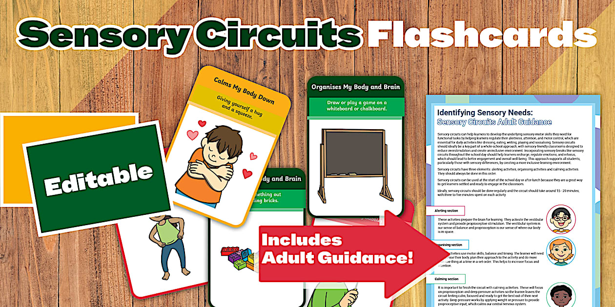 Sensory Circuits Flashcards