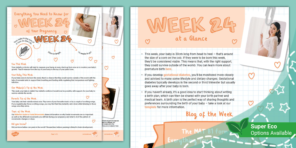 Everything You Need to Know for Week 24 of Your Pregnancy