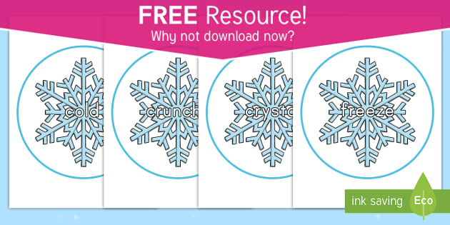 FREE Winter Vocabulary on Snowflakes Posters (teacher made)