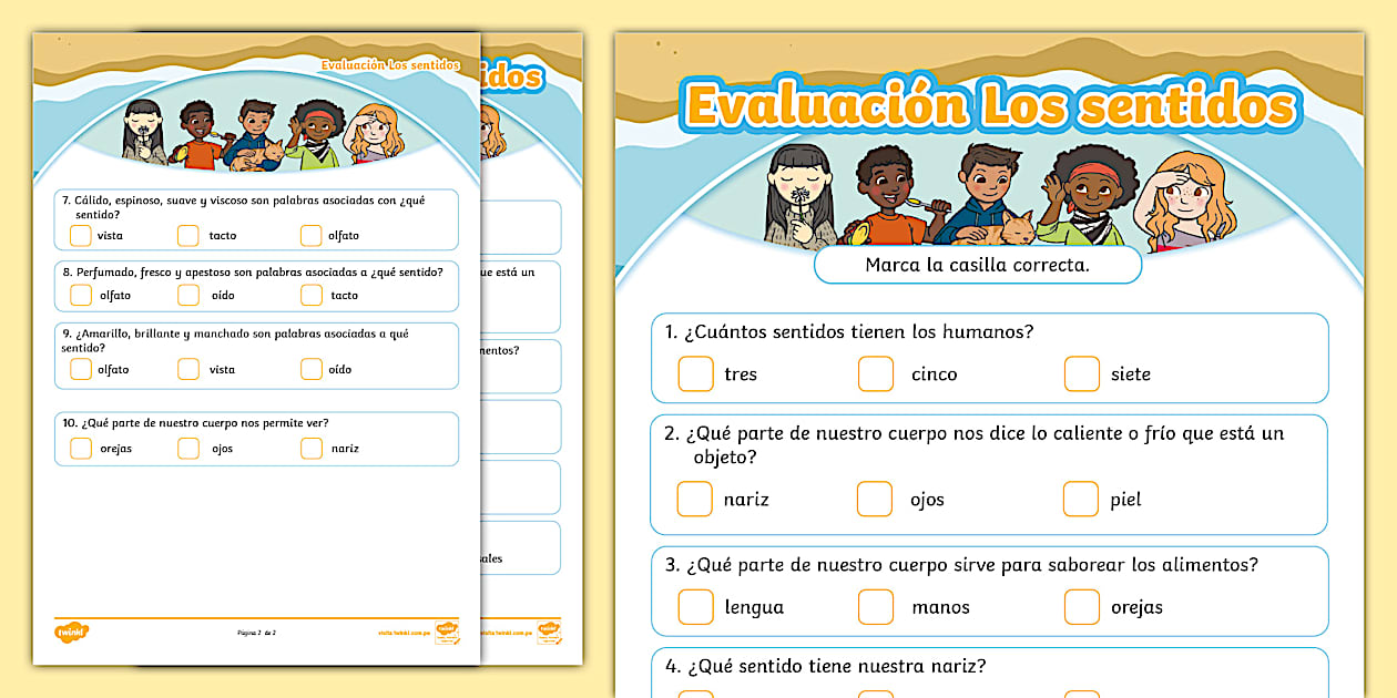 Evaluación de los cinco sentidos | Twinkl