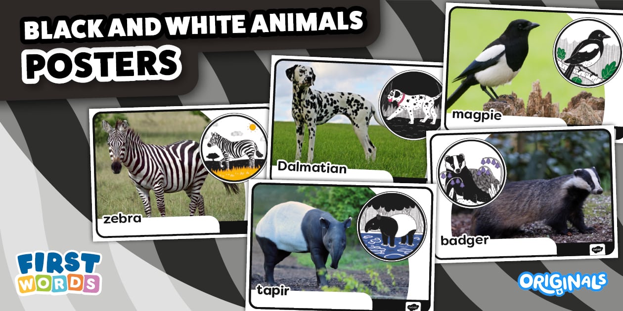 Originals First Words Posters: Black and White Animals