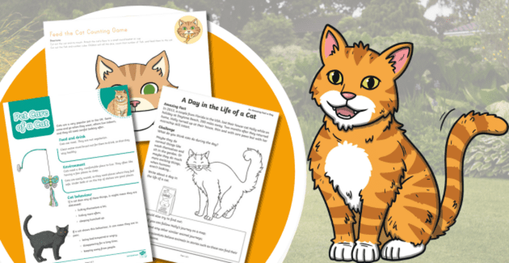 International Cat Day | Twinkl New Zealand - Twinkl