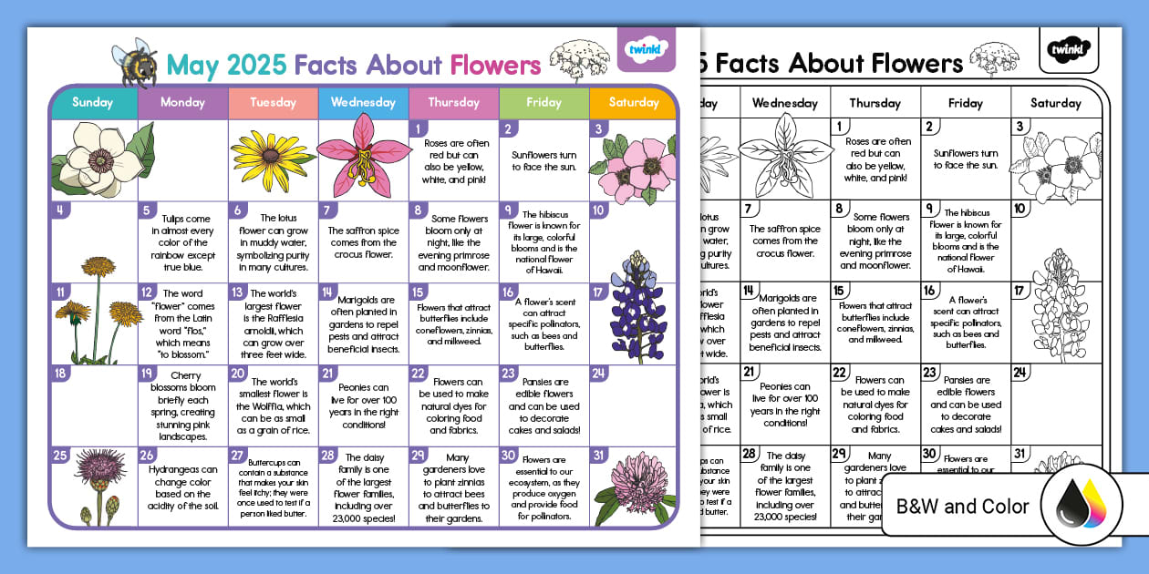 May 2025 Facts About Flowers Calendar (Teacher-Made)
