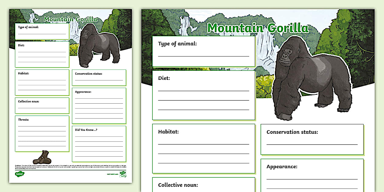 Mountain Gorilla Fact File Template (teacher made) - Twinkl