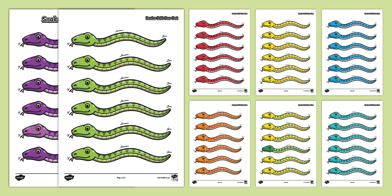 Snake Odd One Out Activity Sheet (teacher made) - Twinkl