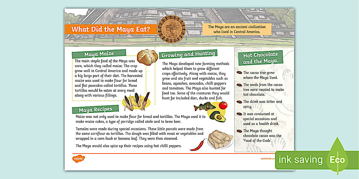 What Did The Maya Eat? Fact File (teacher made) - Twinkl