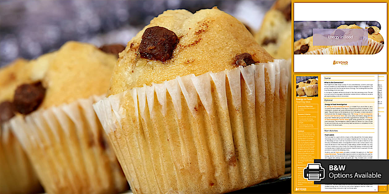 Energy in Food Lesson Pack | KS3 Energy | Beyond - Twinkl