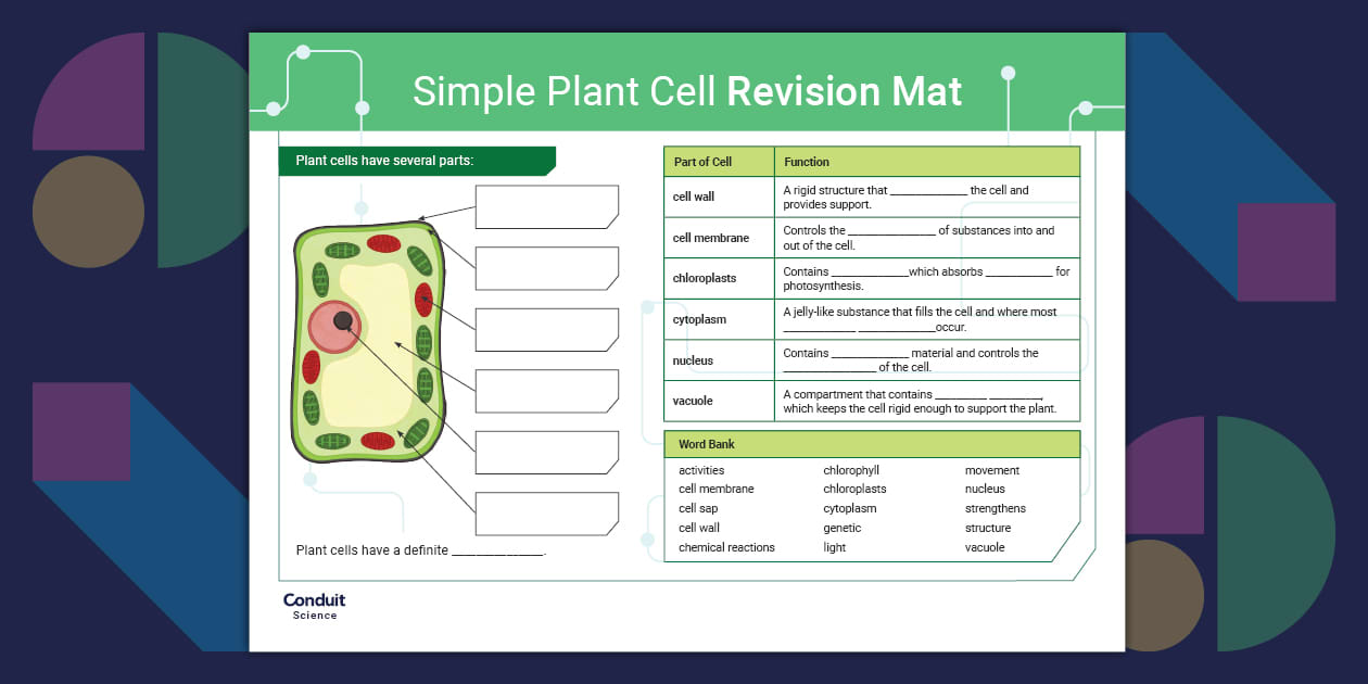 Simple Plant Cell Revision Mat (l'insegnante ha fatto)