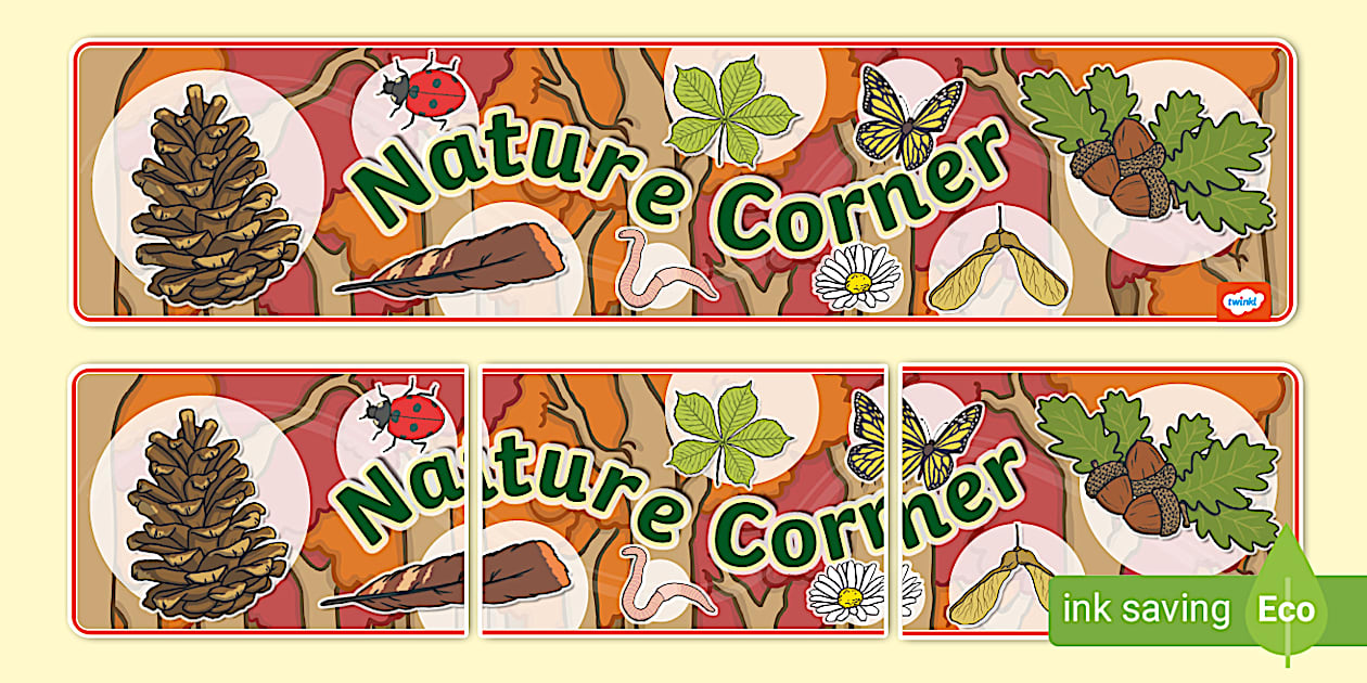 Nature Corner Display Banner - KS1 - Twinkl