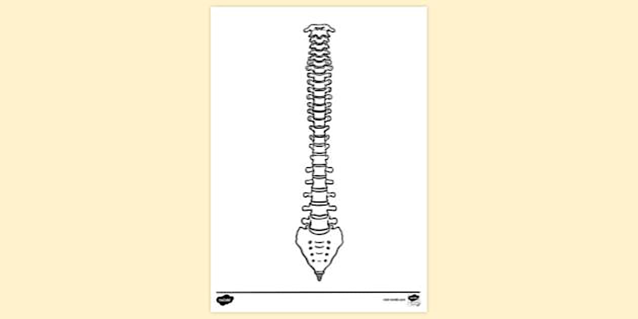 Spines Colouring | Colouring Sheets (Teacher-Made) - Twinkl