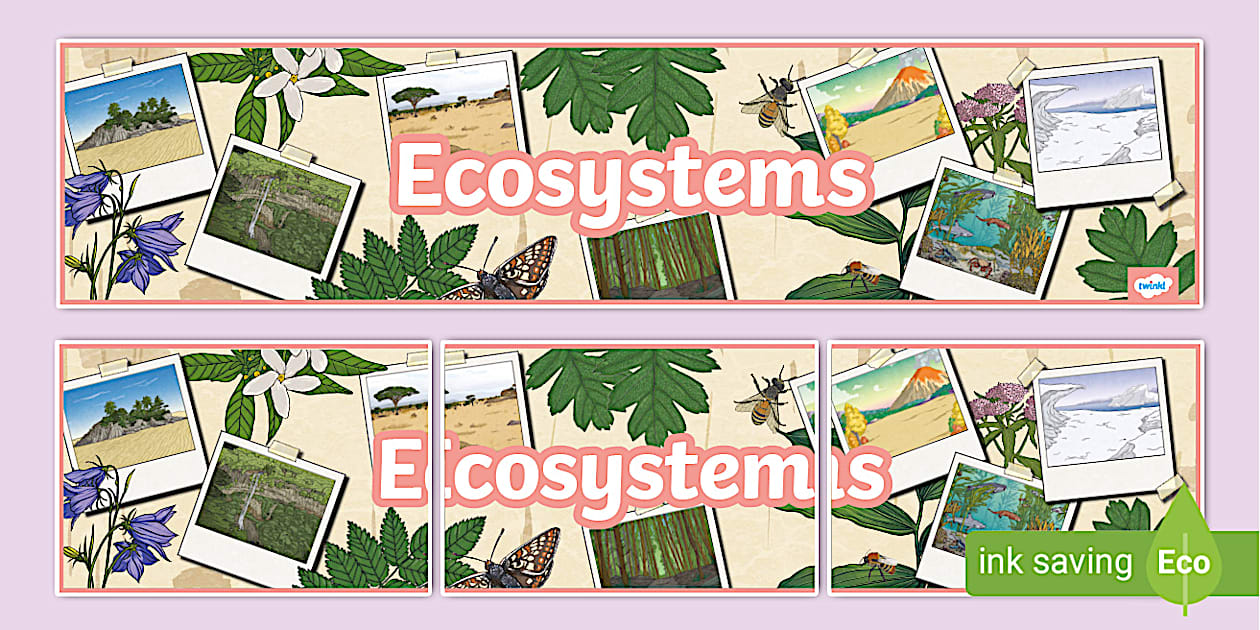 Ecosystems Display Banner (teacher made) - Twinkl