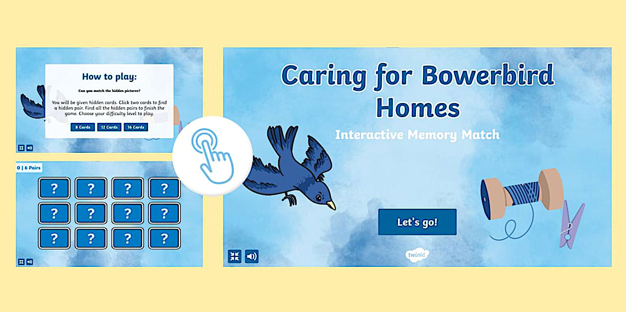 Caring for Bowerbird Homes Interactive Memory Match - Twinkl