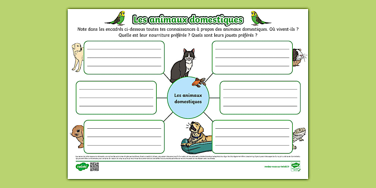 Carte mentale : Les animaux domestiques (teacher made)