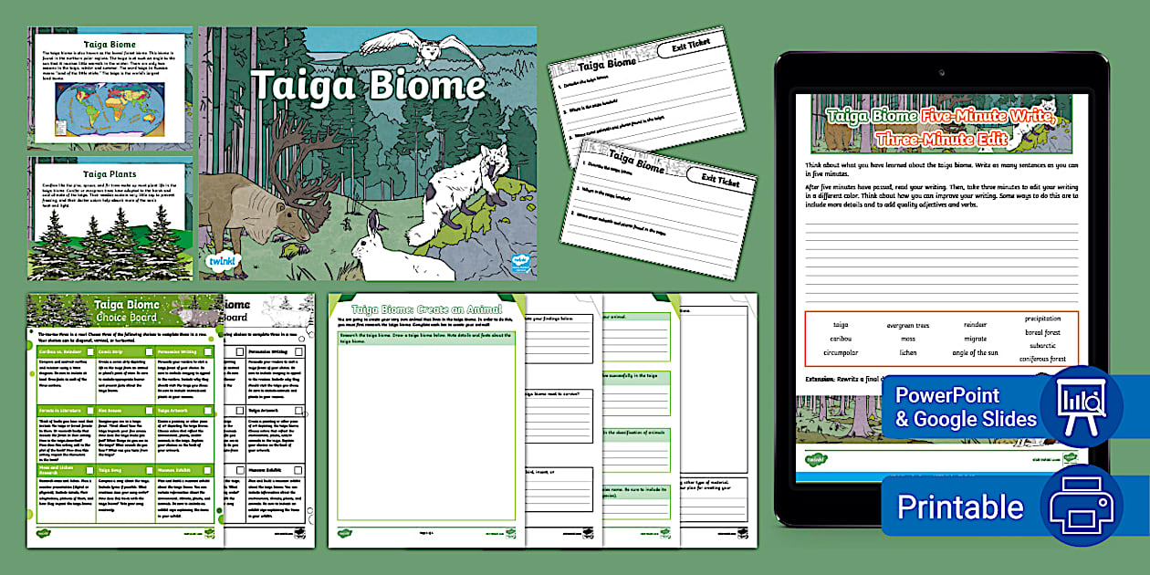 Taiga Biome Lesson Pack for 3rd-5th Grade (teacher made)
