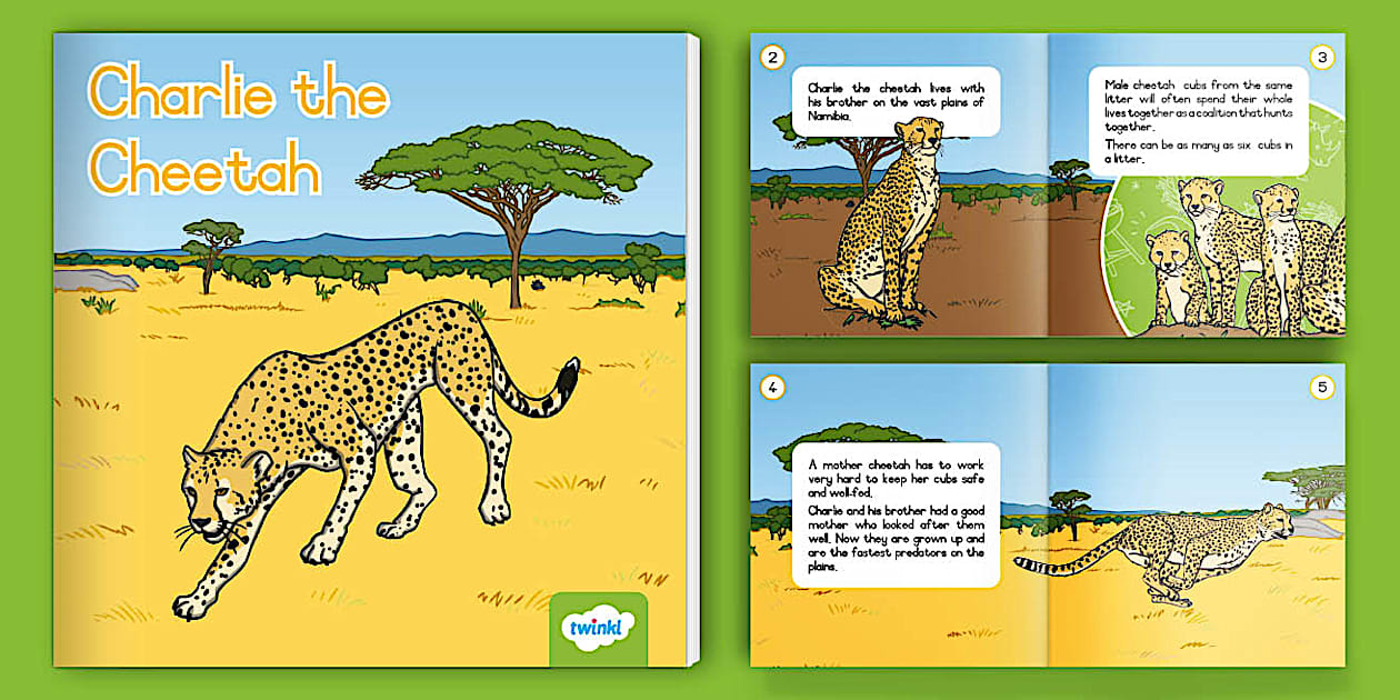Picture Story - Charlie the Cheetah eBook (teacher made)