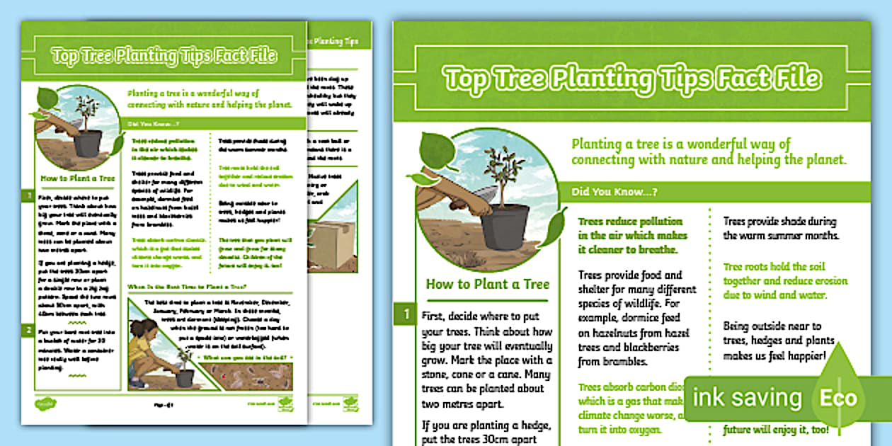 Top Tree Planting Tips Fact File (teacher made) - Twinkl