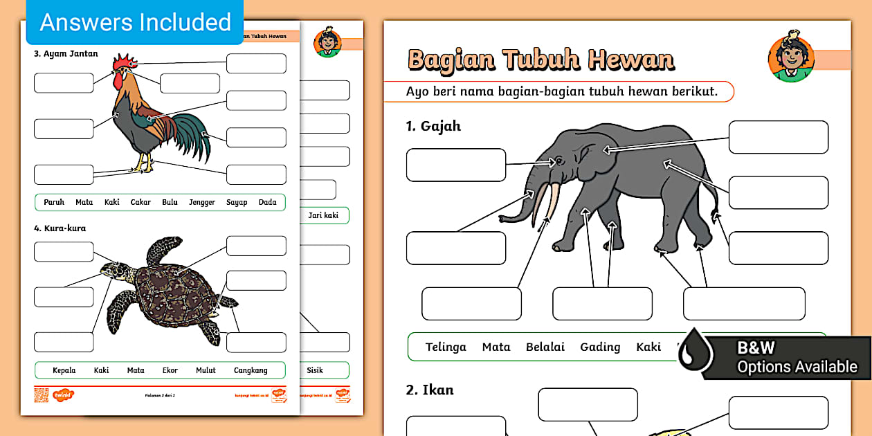 LK Nama-Nama Anggota Tubuh Hewan Bilingual (teacher made)