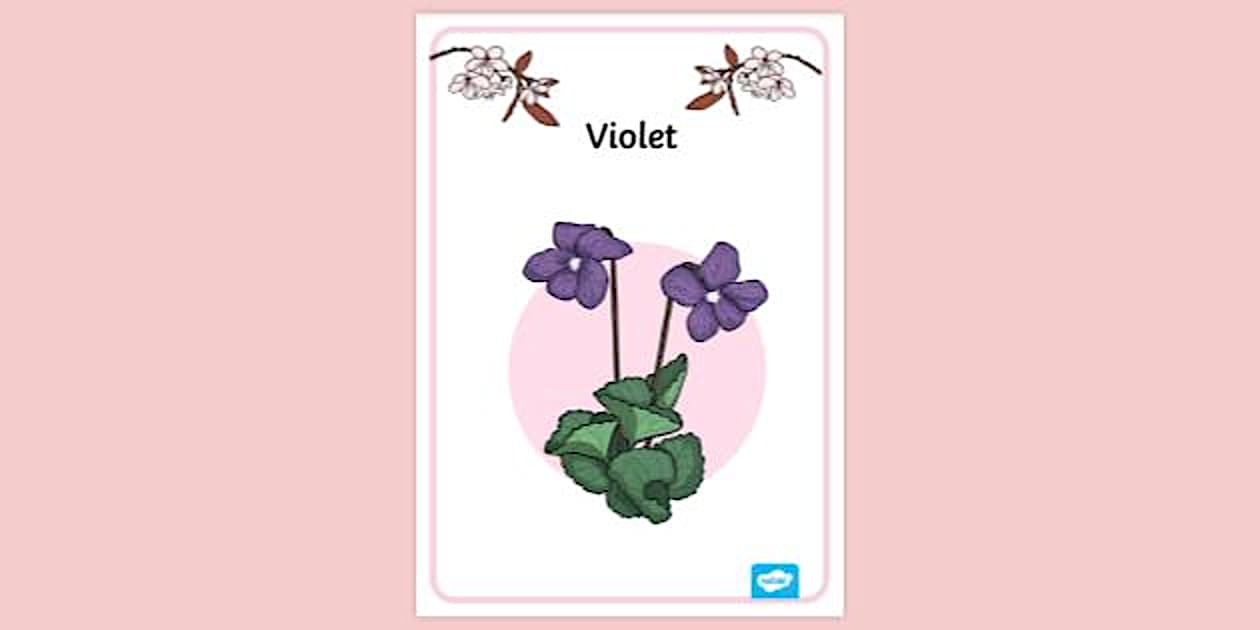 Violet Poster | Display Posters | Primary Resources