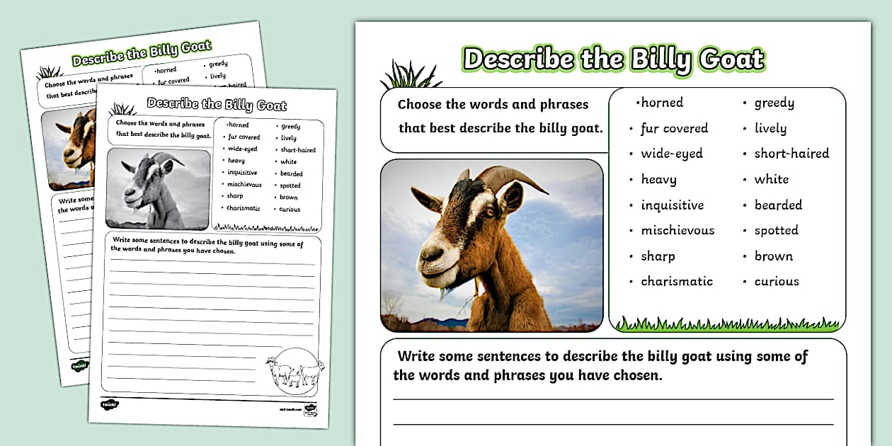 Describe the Billy Goat Worksheet (teacher made) - Twinkl