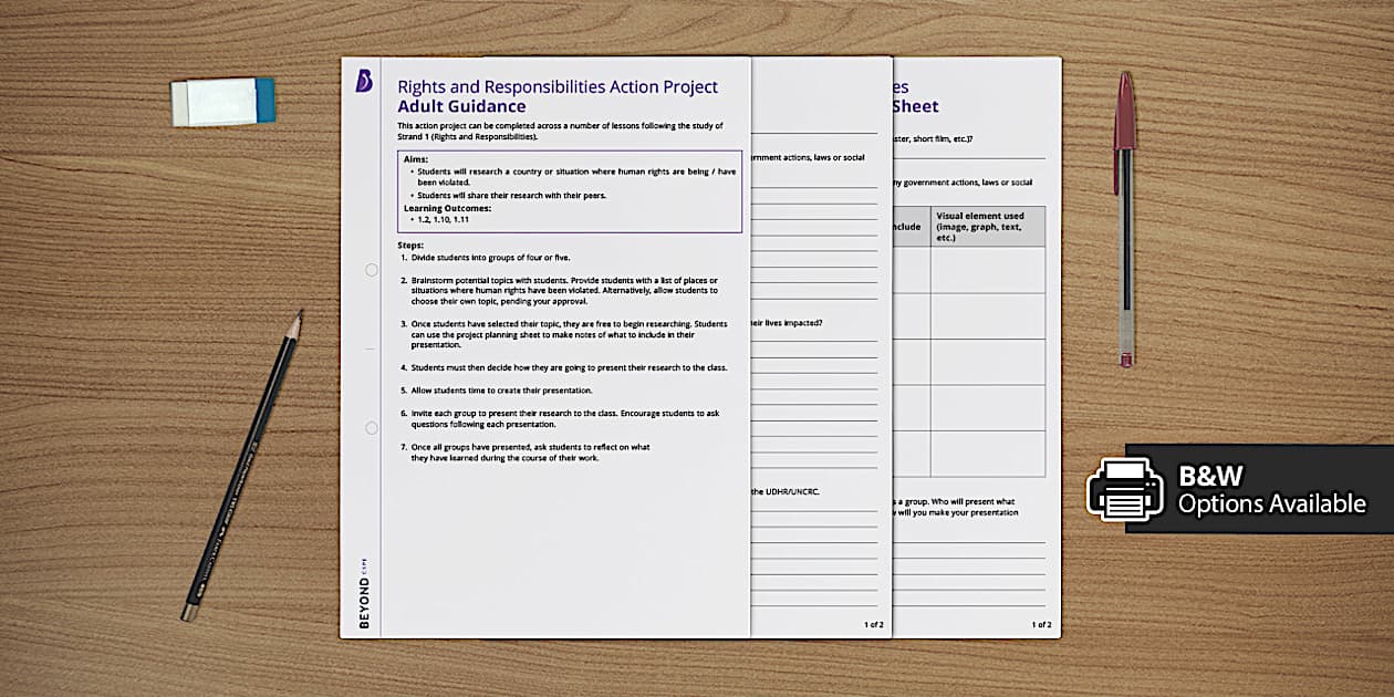 Rights and Responsibilities Action Project (teacher made)
