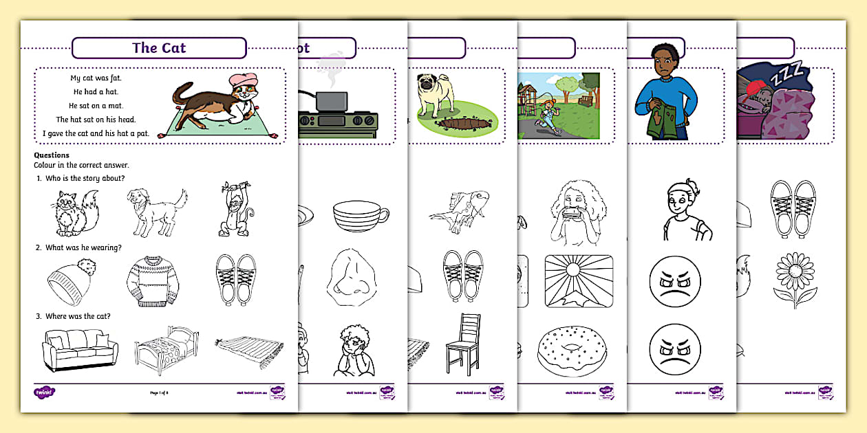Foundation CVC Reading Comprehension (teacher made) - Twinkl