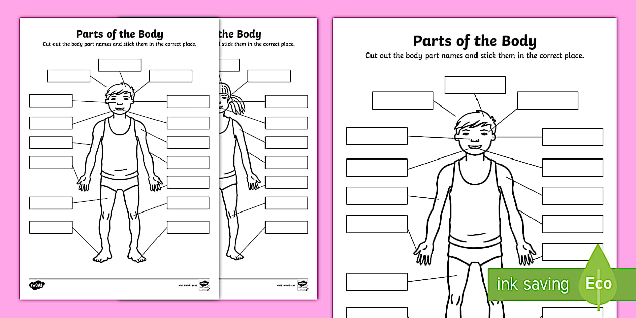 Body Parts Cut and Stick Activity | Body Parts Labelling